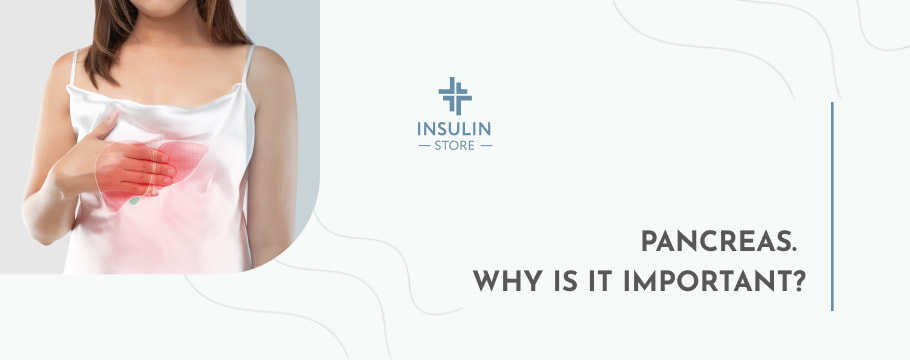 Pancreas Why It Is So Important For Diabetes Insulin Store Pancreas Why It Is So Important For Diabetes Insulin Store